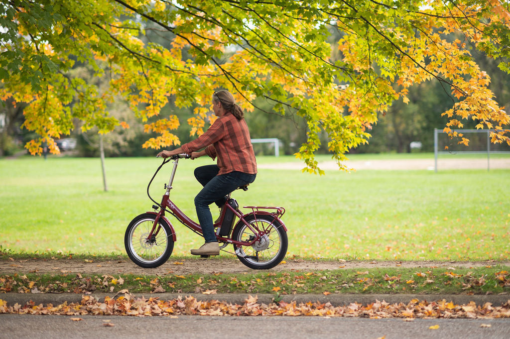 Go For a Ride Day—Here’s How to Celebrate – Blix Electric Bikes